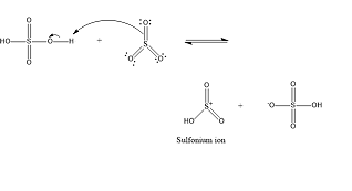 1. Show the formation of the Nitronium Ion using a 3:1 HNO_3/H_2SO_4 ...