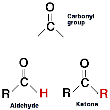 What is meant by the term "functional group"? | Homework.Study.com