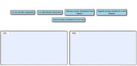 How does LDL differ from HDL? Drag the appropriate items to their ...