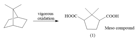 Vigorous oxidation of the following bicycloalkene breaks the carbon ...