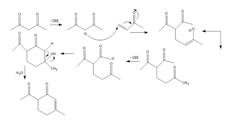 Draw a stepwise mechanism that illustrates how both products are formed ...