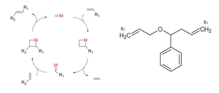 Draw the product formed from the ring-closing metathesis of the given ...