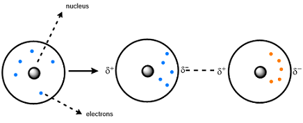 Discuss 1-pentanol, 1-decanol, and 1-butanol in regards to the ...