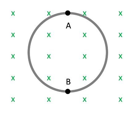 The flexible loop in the figure below has a radius of 13 cm and is in a ...