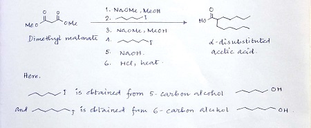 Starting with a 5-carbon alcohol, a 6-carbon alcohol, and masonic ester ...