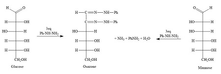 1) The osazones derived from D-glucose and D-fructose are identical ...