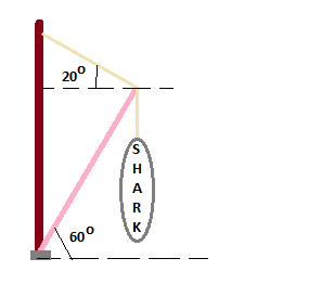 A 8200 N shark is supported by a rope attached to a 4.80 m rod that can ...