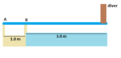What is the mass of the diver in the figure, if she exerts a torque of ...