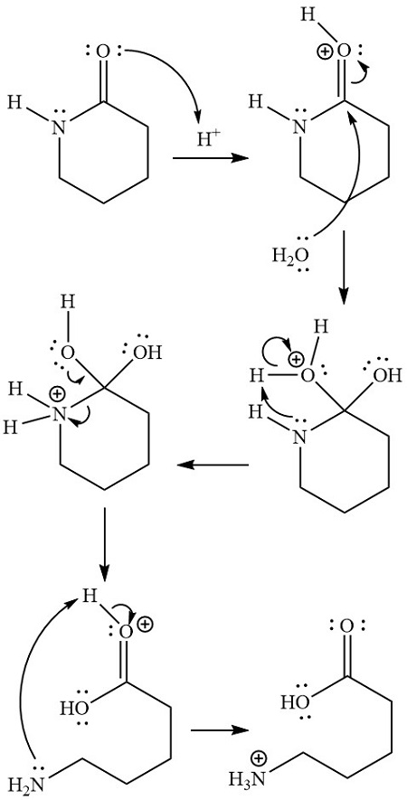 Provide a reasonable mechanism for the following reactions | Homework ...