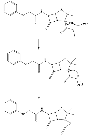 Draw a stepwise mechanism for the following reaction. The four-membered ...