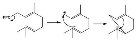 \alpha -Fenchone is a pleasant-smelling terpenoid isolated from oil of ...