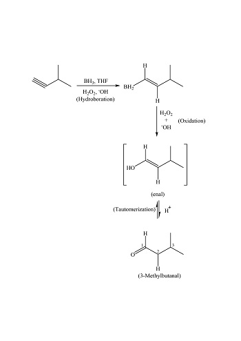 What is the product of the following product? BH3, THF | Homework.Study.com