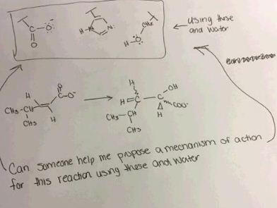 Can someone help me a mechanism of action for this reaction using these ...