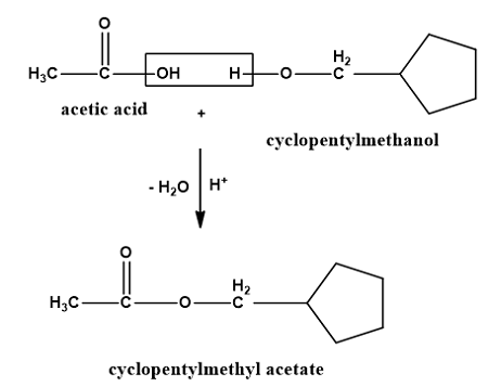 Show two ways to make the ester below: | Homework.Study.com