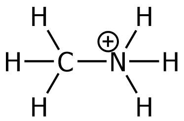 Give an explanation for CH_3NH_3 in react with H^+? | Homework.Study.com