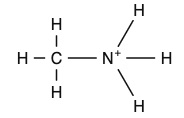 Draw both the conjugate acid and conjugate base of the acid/base ...