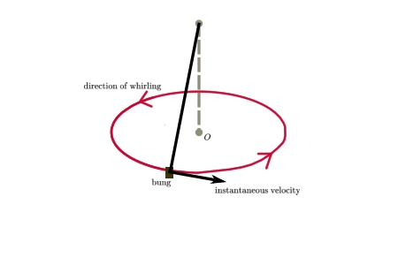 If you were to let go of the string, what would happen? | Homework ...