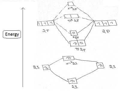 Compare the atomic and molecular orbital diagrams of N and N2 to ...