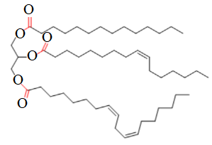 Palmitoleic Acid Skeletal Structure