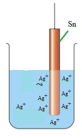 What happens at the molecular level when Ag+ ion and Sn metal are mixed ...