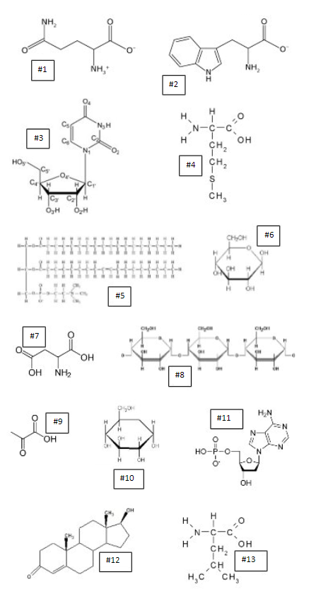 Use the diagrams presented below to answer the following questions. 1 ...