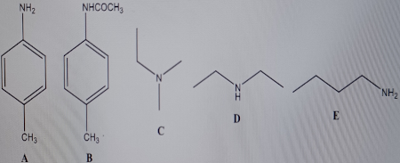 Which of the following is the strongest base? | Homework.Study.com