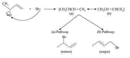 Draw and name the "Major" and "Minor" products formed upon radical ...