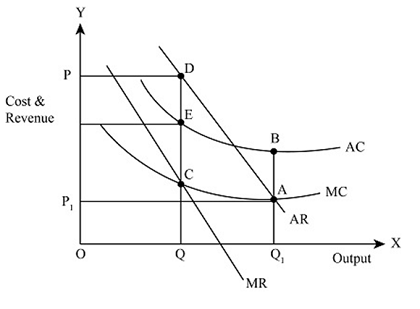 (a) Explain what is meant by the term natural monopoly. (b) Construct a ...