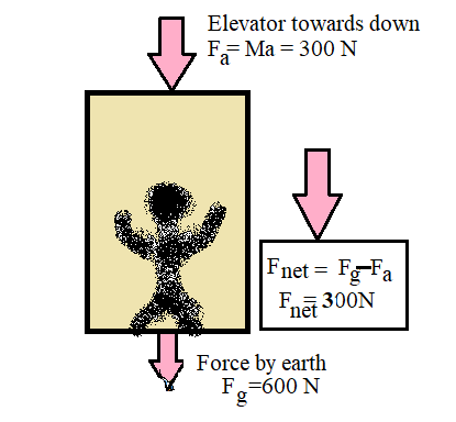 A person with a mass of 60 kg stands in an elevator. Draw a force ...