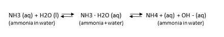 What is the chemical reaction happening in the NH3 beaker? | Homework ...