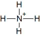 Draw and explain the Lewis dot diagram for NH4+. | Homework.Study.com