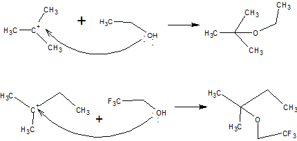 Draw the E1 product(s) for the following reactions. | Homework.Study.com