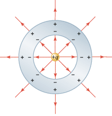 A neutral conductor contains a hollow cavity in which there is a +110 ...