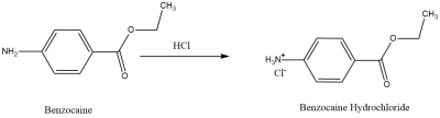 What is the equation for the reaction of benzocaine and HCl? | Homework ...