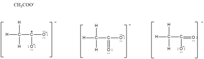 What are all the possible Lewis structures for CH3CO2-? | Homework ...