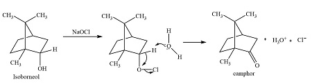 Draw the mechanism of the oxidation of isoborneol to camphor using ...