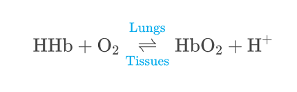 Explain the following equation describing what is being sent to the ...