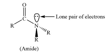 Why are amines basic, but amides are not basic? a. Amides can ...