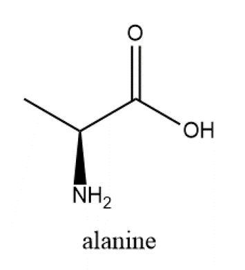 Draw the structure of the phenylthiohydantoin product you would expect ...