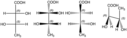 Draw the molecule provided on the Fischer projection on the other ...