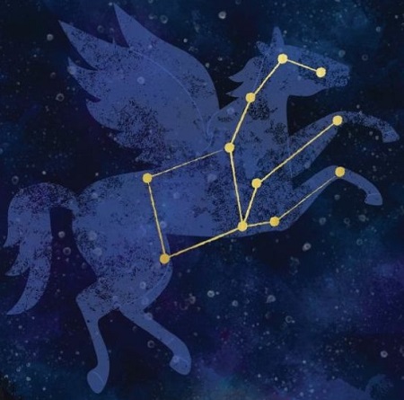 What does the constellation Pegasus look like? | Homework.Study.com