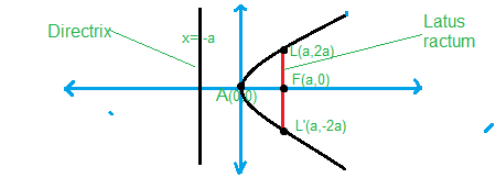 How to calculate the latus rectum of a parabola? | Homework.Study.com