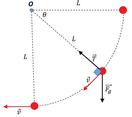 A pendulum with a radius of 1 m swings down from 0 to -90 degrees ...