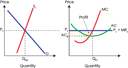 A firm in an entirely competitive industry has A. a perfectly elastic ...