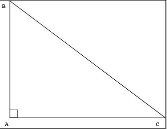 Writing Assignment: Construct a perpendicular line and clearly describe ...