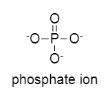 Why would PO_4^{3-} have a double bond when it comes to Lewis structure ...