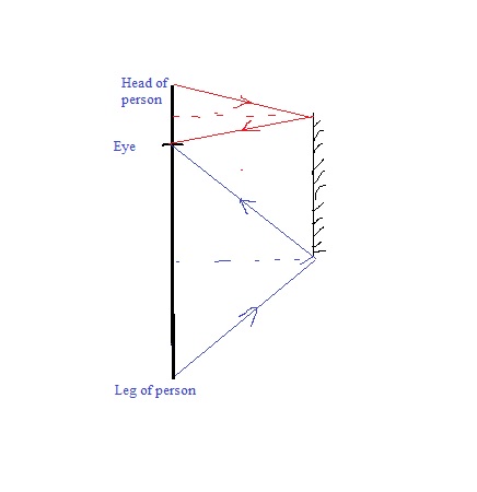 Consider a plane mirror mounted on a vertical wall. How should the ...