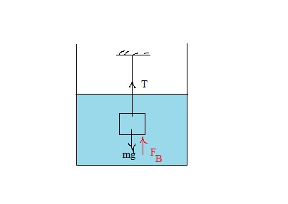 A piece of polystyrene packaging material (density= 25 kg/m^3) that has ...