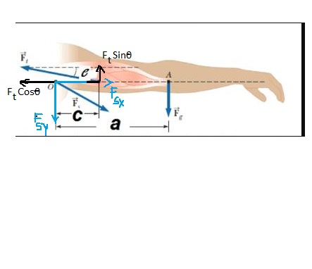 [{Image src='hand3791241286764793347.png' alt='figure1' caption ...