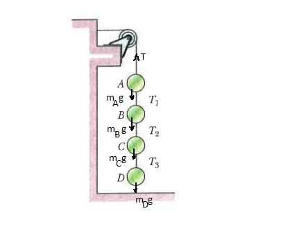 Four balls are suspended by cords. The longer, top cord loops over a ...